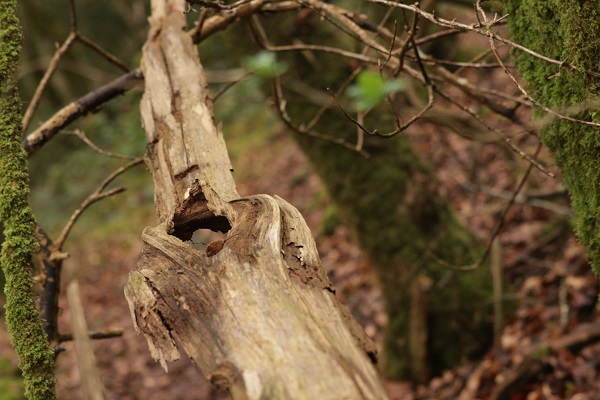 Hurling in Cahermore – The Burren and Beyond